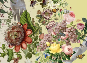 Biglietti Mostra - Tariffe e Costi - Chiostro del Bramante Roma