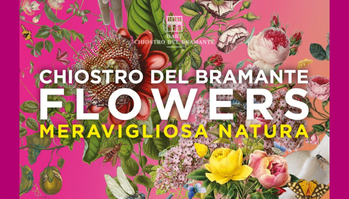 Cloister of Bramante - International Cultural Center in Rome